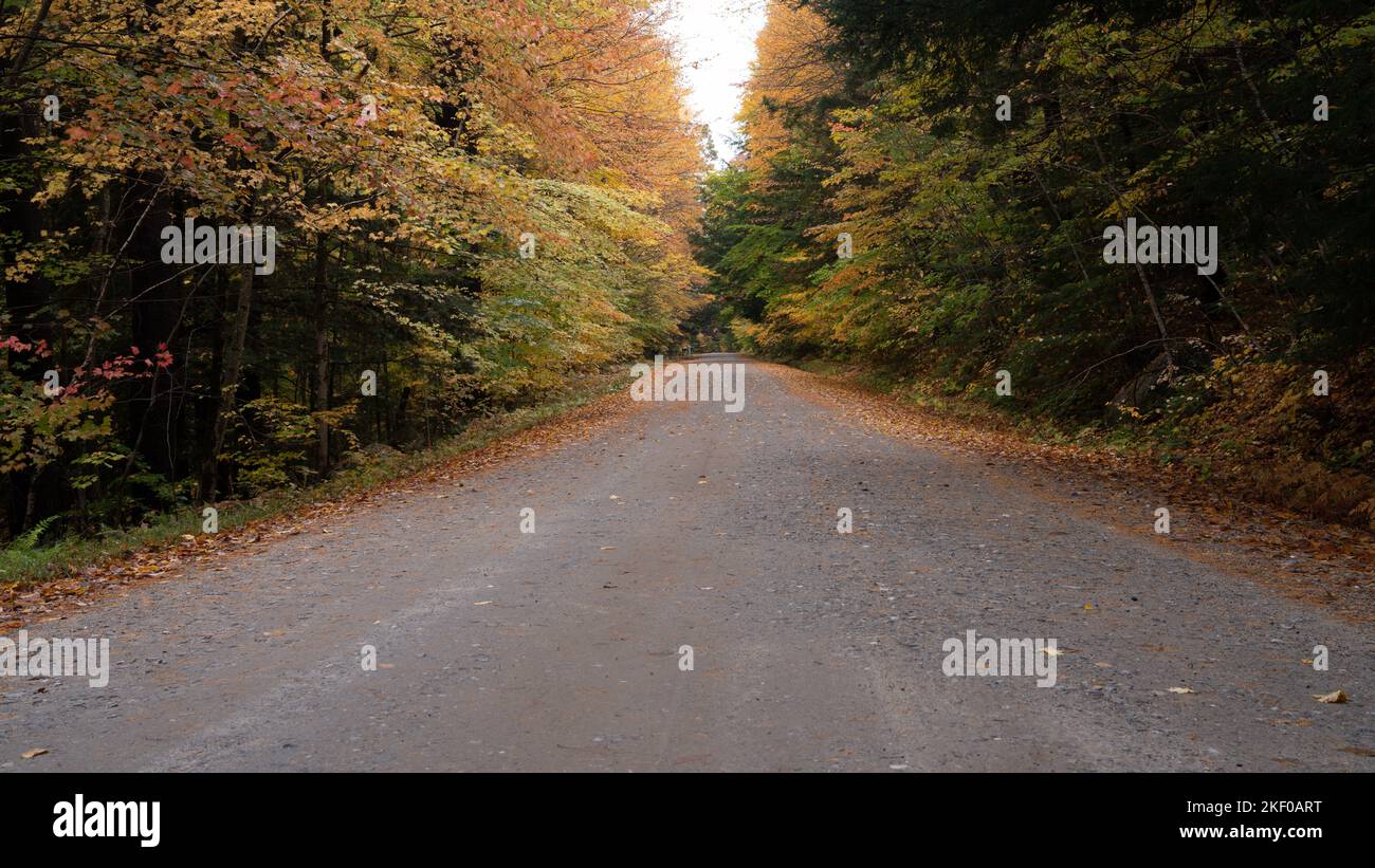 Verlassene fahrbahn -Fotos und -Bildmaterial in hoher Auflösung – Alamy