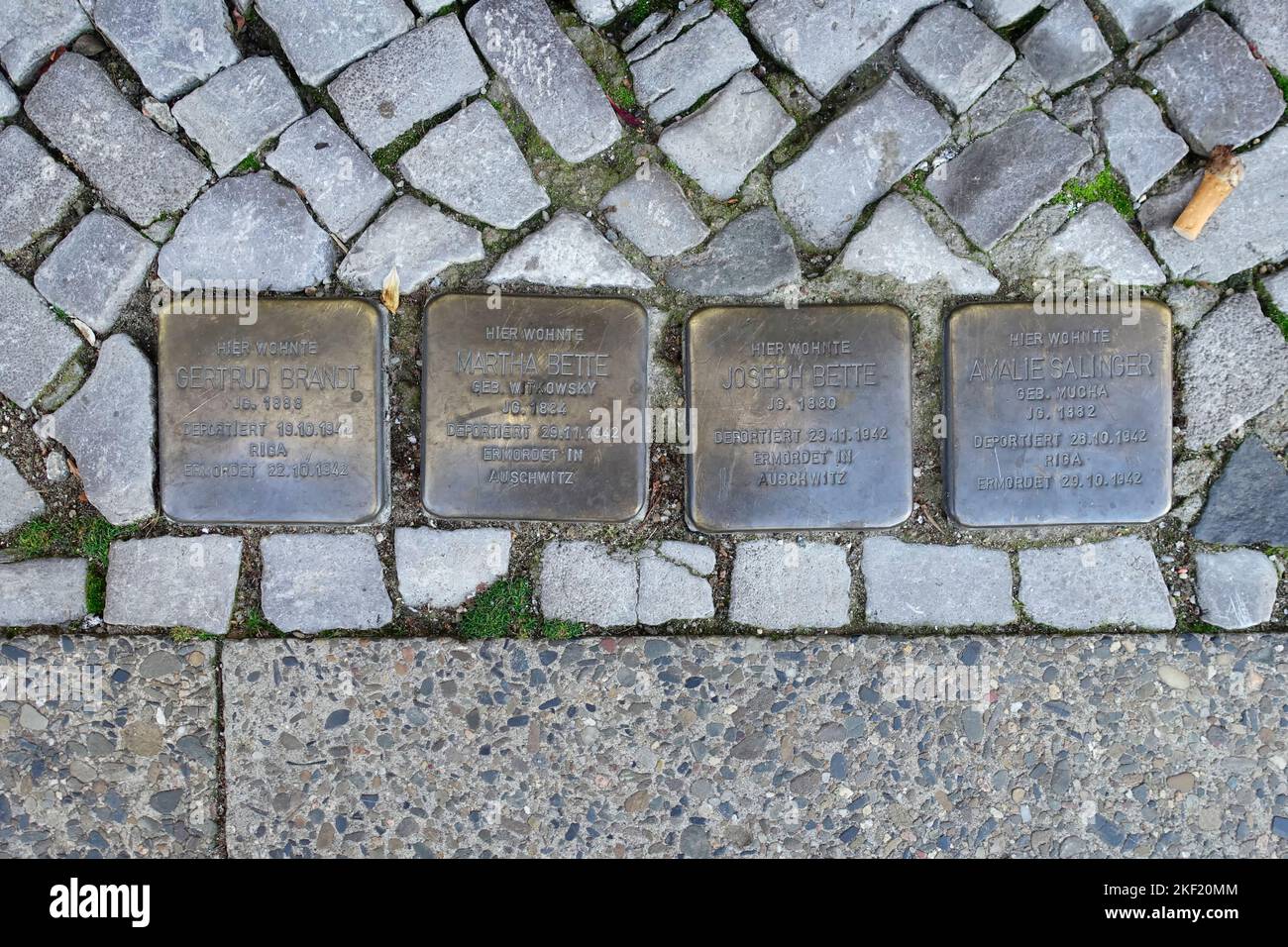 Stolpersteine ??in berlin -Fotos und -Bildmaterial in hoher Auflösung ...