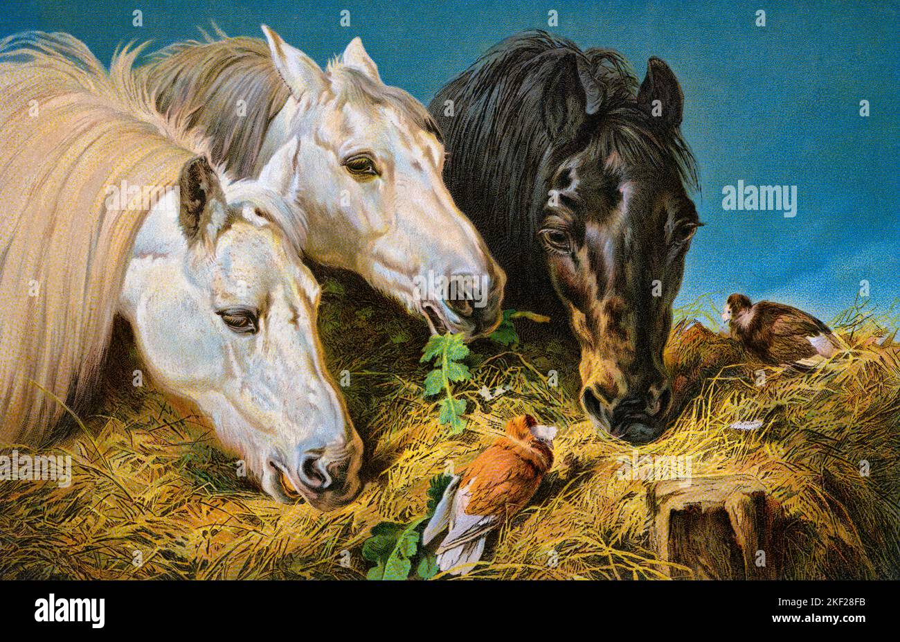 1840S DAS SPARSAME SPEISEÖL VON JOHN HERING, DEM BEDEUTENDSTEN ...