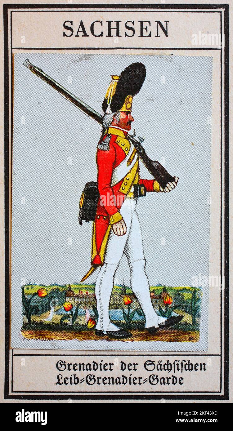 Deutsche Uniformen des 19.. Jahrhunderts, Wache - Infanterie: Sachsen ...