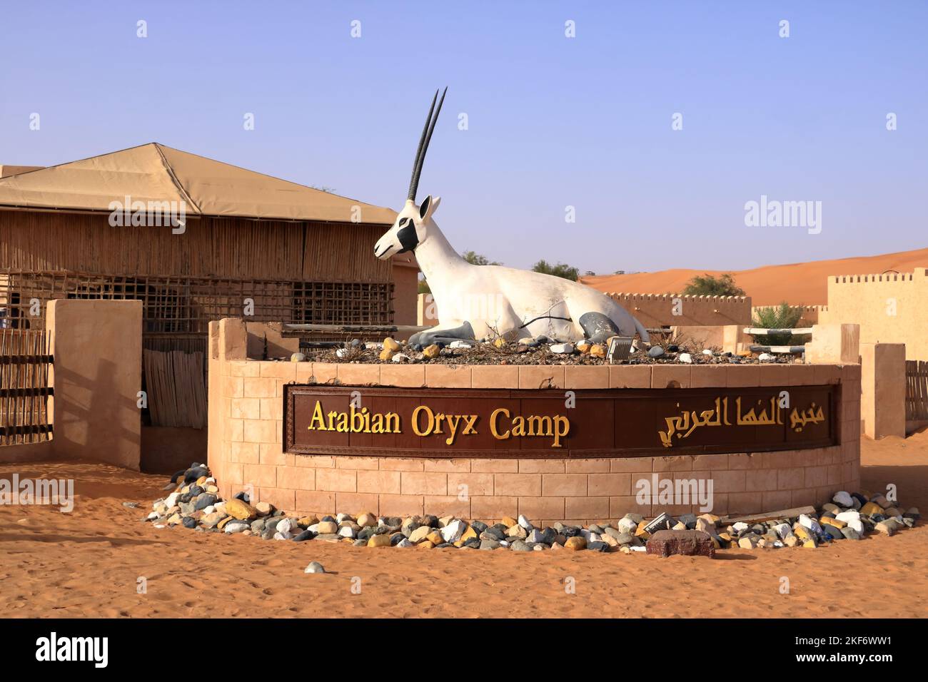 Arabian oryx oman -Fotos und -Bildmaterial in hoher Auflösung – Alamy
