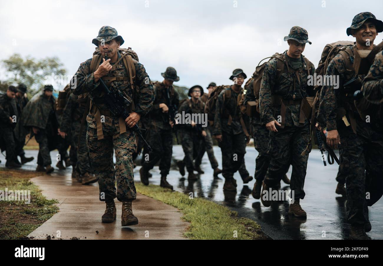 US-Marineinfanteristen mit 3D Marine Littoral Regiment, 3D Marine ...