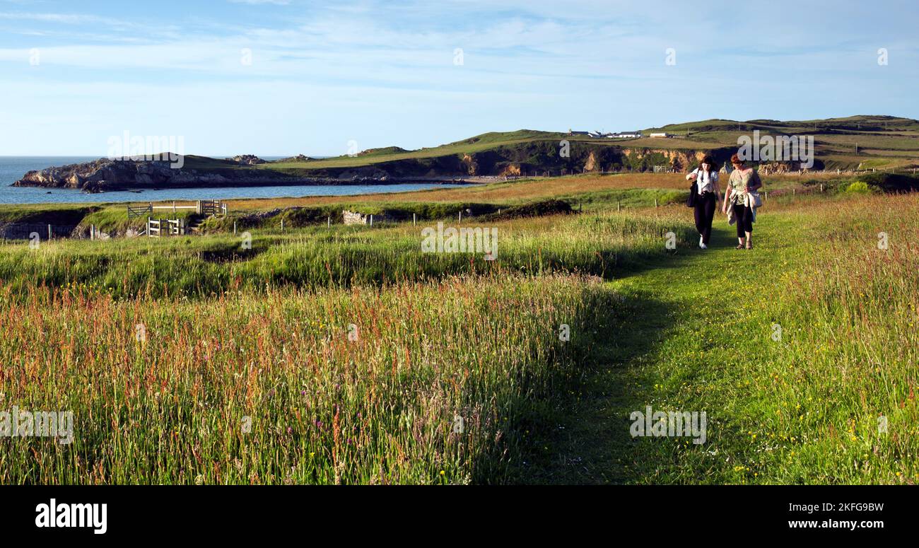 Llanbadrig punkt -Fotos und -Bildmaterial in hoher Auflösung – Alamy