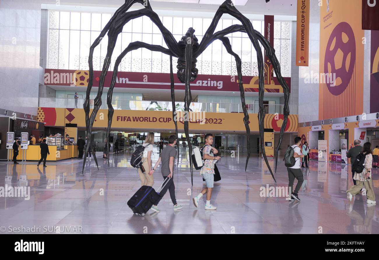 World cup 2022 photographers -Fotos und -Bildmaterial in hoher ...