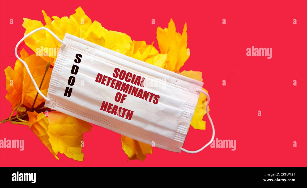 Soziale Determinanten von Gesundheit SDOH - wirtschaftliche und soziale ...