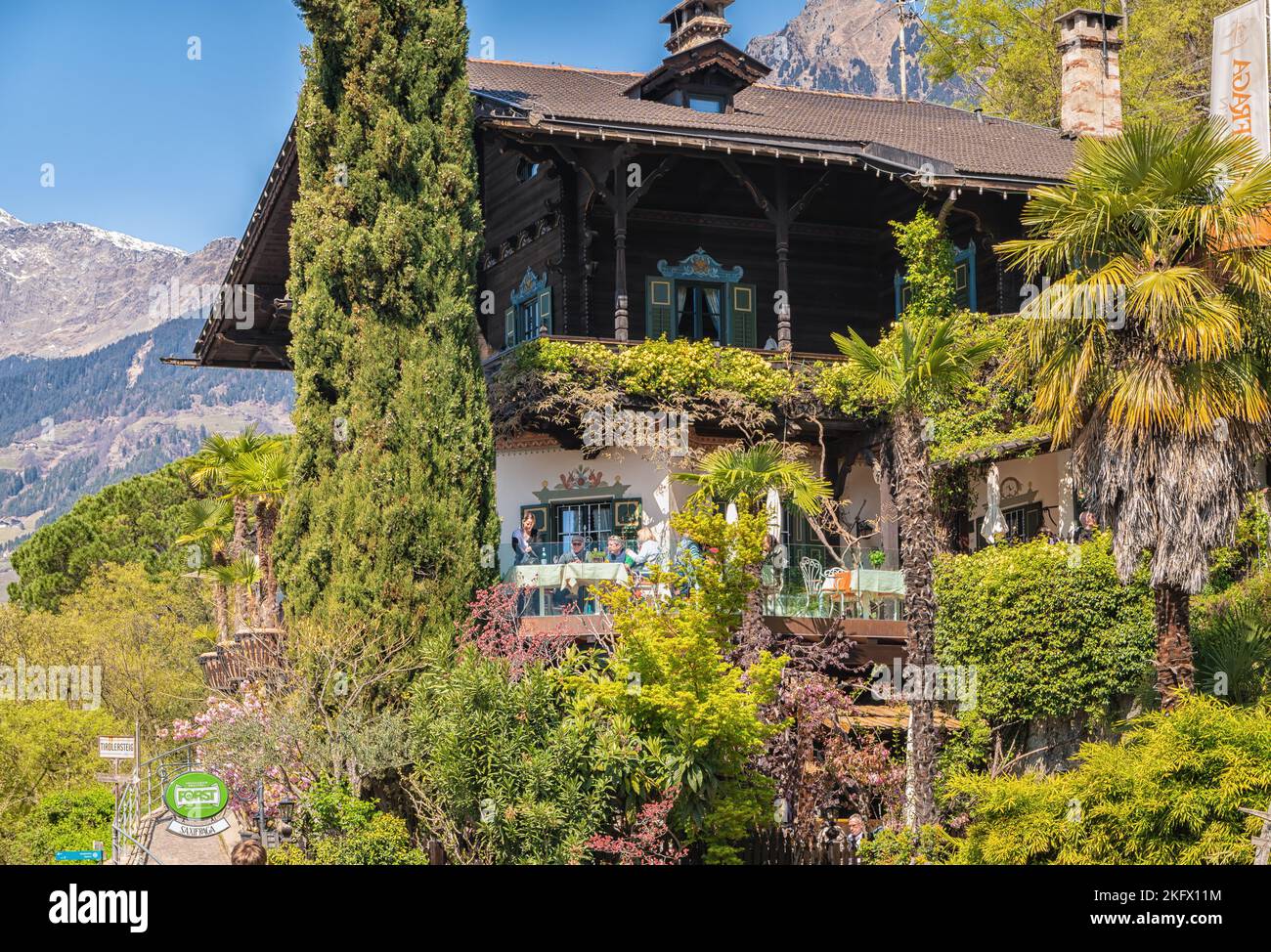 Saxifraga restaurant -Fotos und -Bildmaterial in hoher Auflösung – Alamy