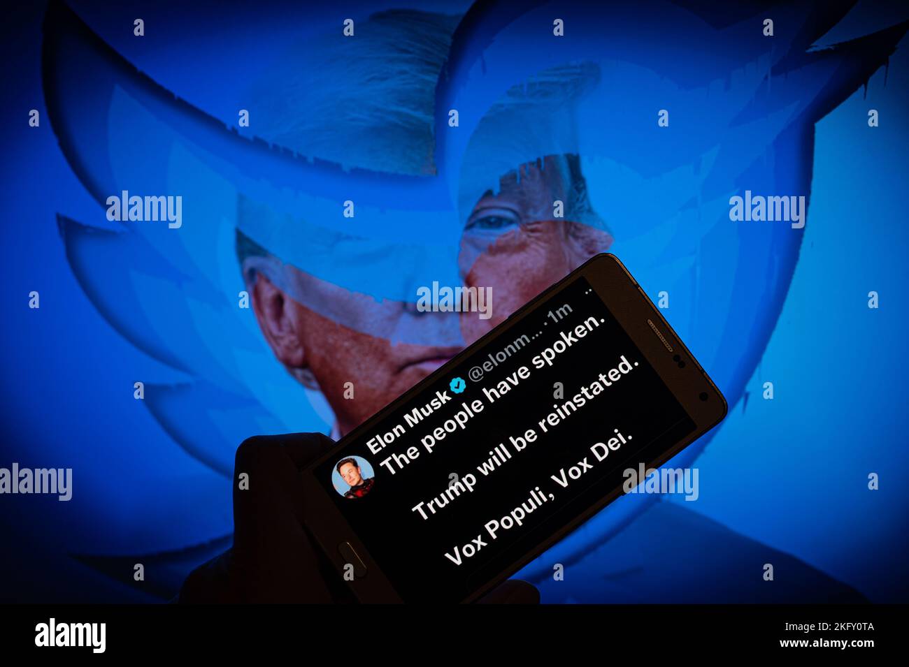 Donald Trump twitter-Account auf dem Handy-Bildschirm gesehen. Das ...