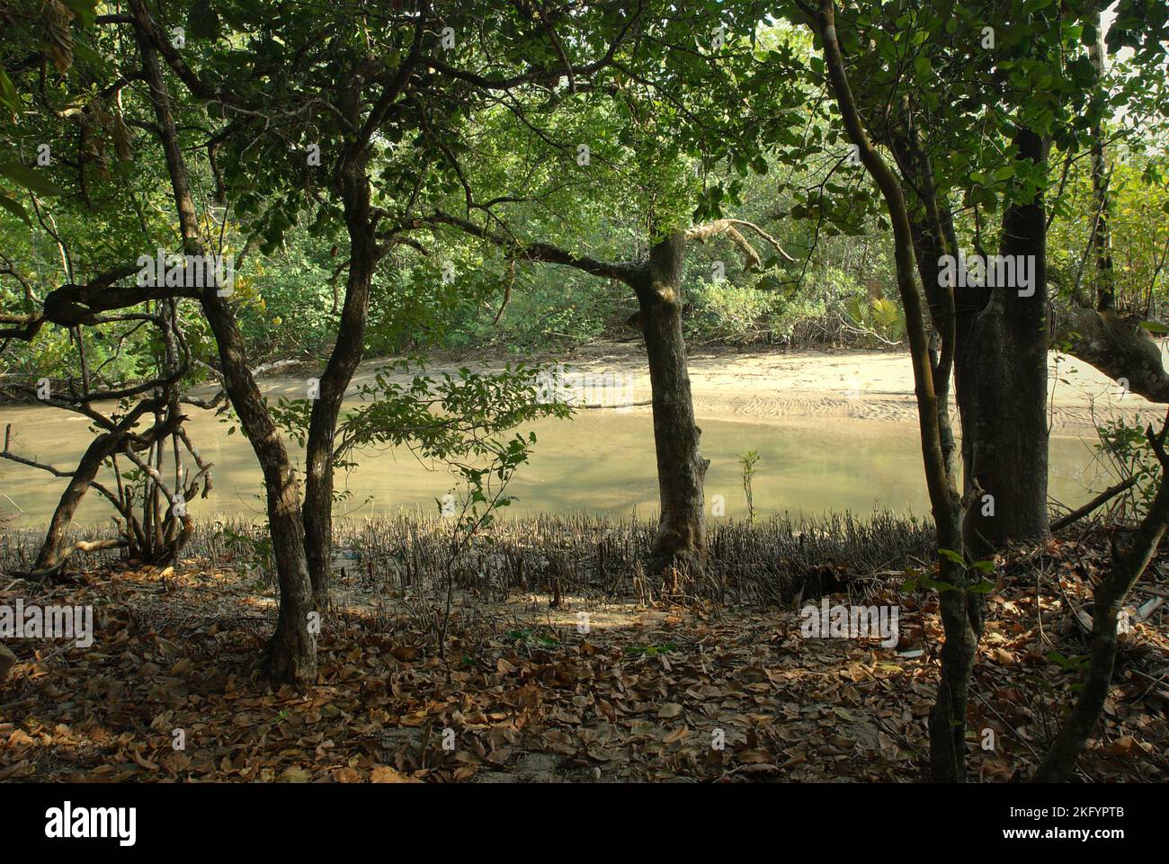 Handeleum insel -Fotos und -Bildmaterial in hoher Auflösung – Alamy