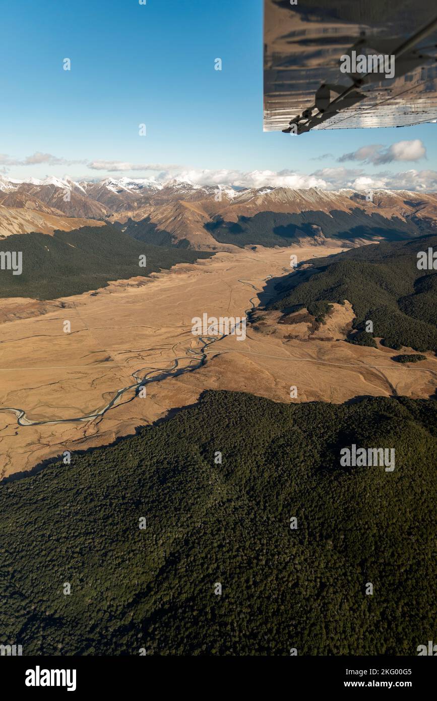 Fangorn wald -Fotos und -Bildmaterial in hoher Auflösung – Alamy