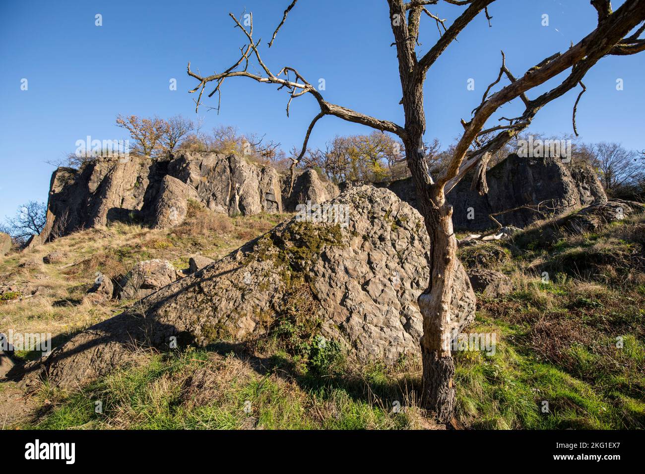 Felswand des Stenzelbergs im Siebengebirge bei Königswinter diente der ...