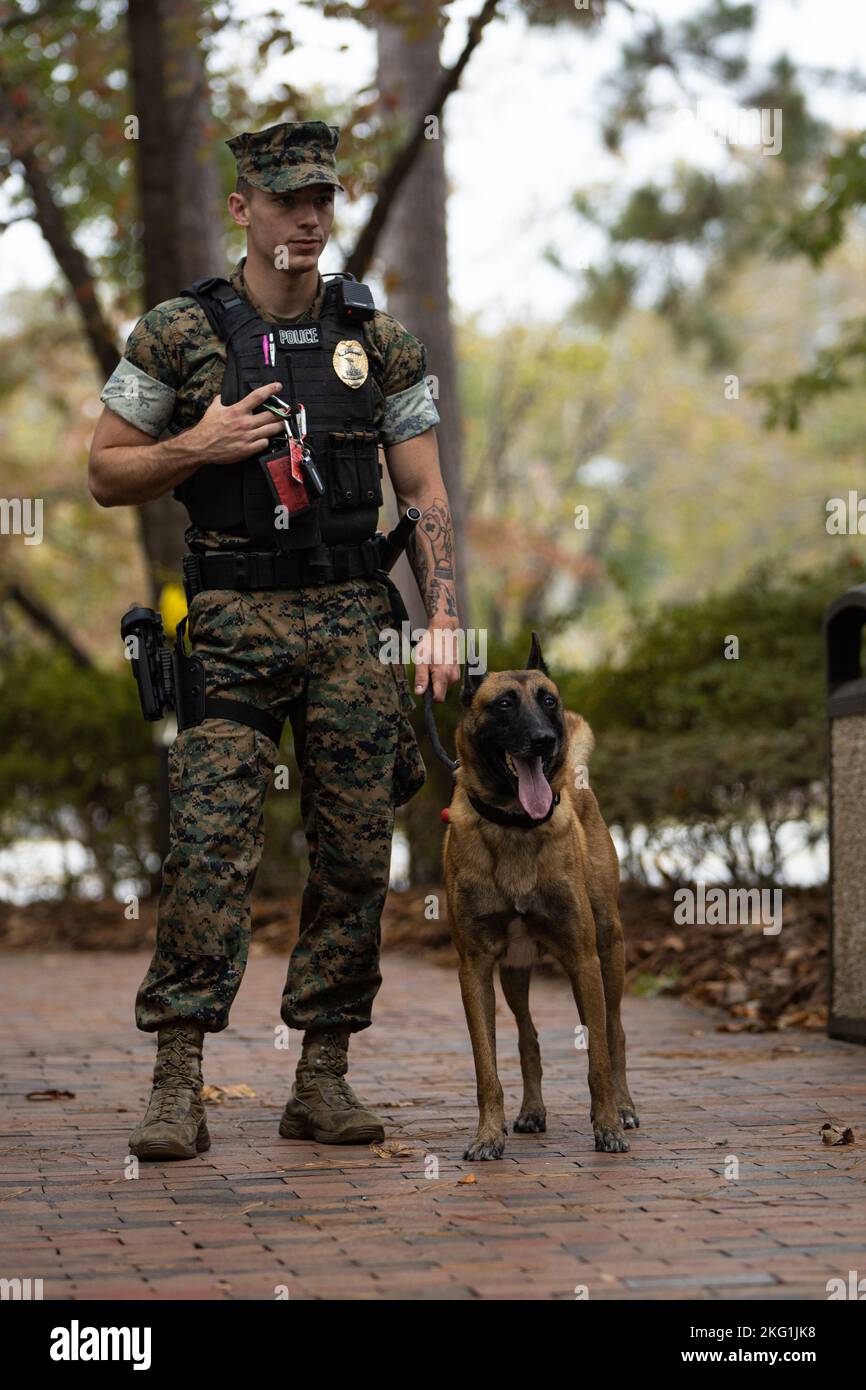 U.S. Marine Corps CPL. Jeremiah Leplante, ein Hundeführer mit dem Büro ...
