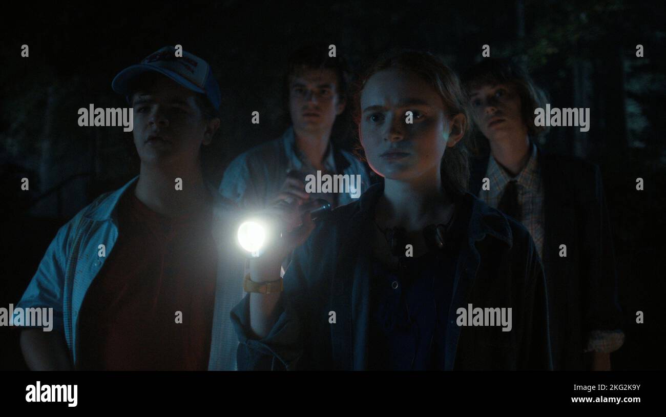 GATEN MATARAZZO, SADIE SINK, MAYA HAWKE und JOE KEERY in STRANGER ...