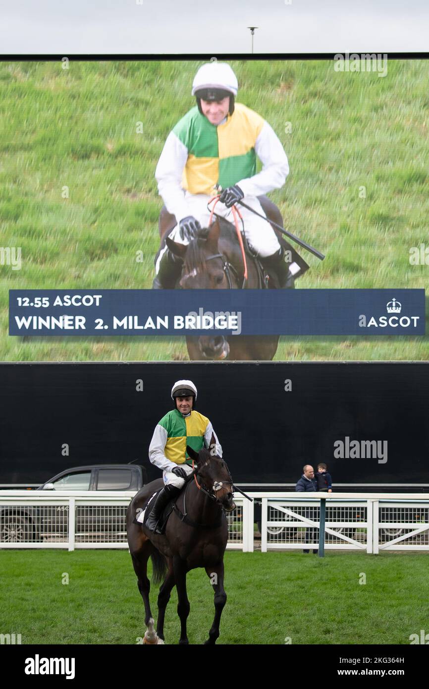 Rosa lineal -Fotos und -Bildmaterial in hoher Auflösung – Alamy