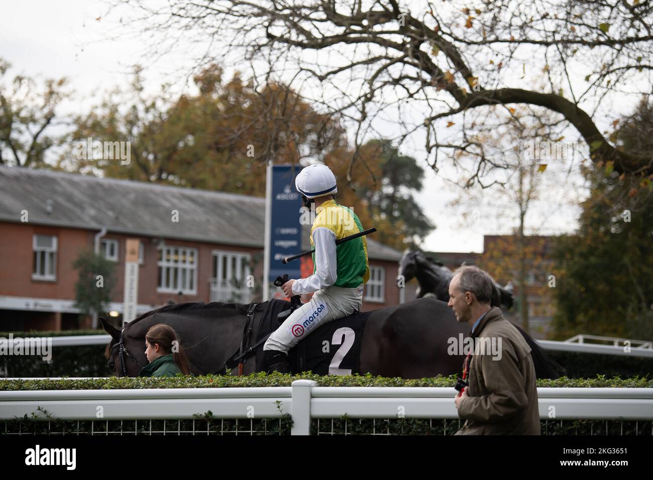 Rosa lineal -Fotos und -Bildmaterial in hoher Auflösung – Alamy