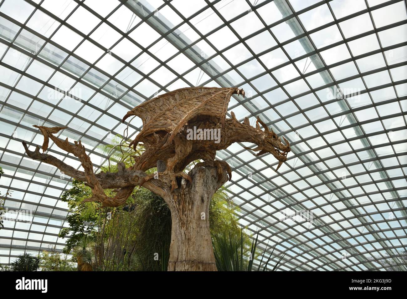 Die Skulptur eines Drachens am Flower Dome aus Baumrinde und Wurzeln ...