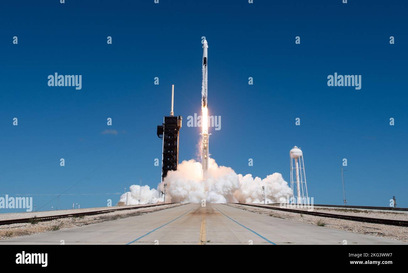 NASA SpaceX Crew-5 Start. Eine SpaceX Falcon 9-Rakete mit der Crew ...