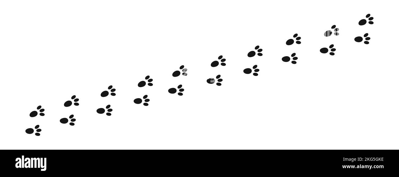 Hasen-Pawprints. Hasenpfoten-Stempel. Spuren von nassen oder ...