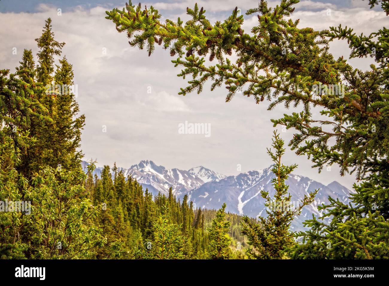 Berge im denali nationalpark -Fotos und -Bildmaterial in hoher ...