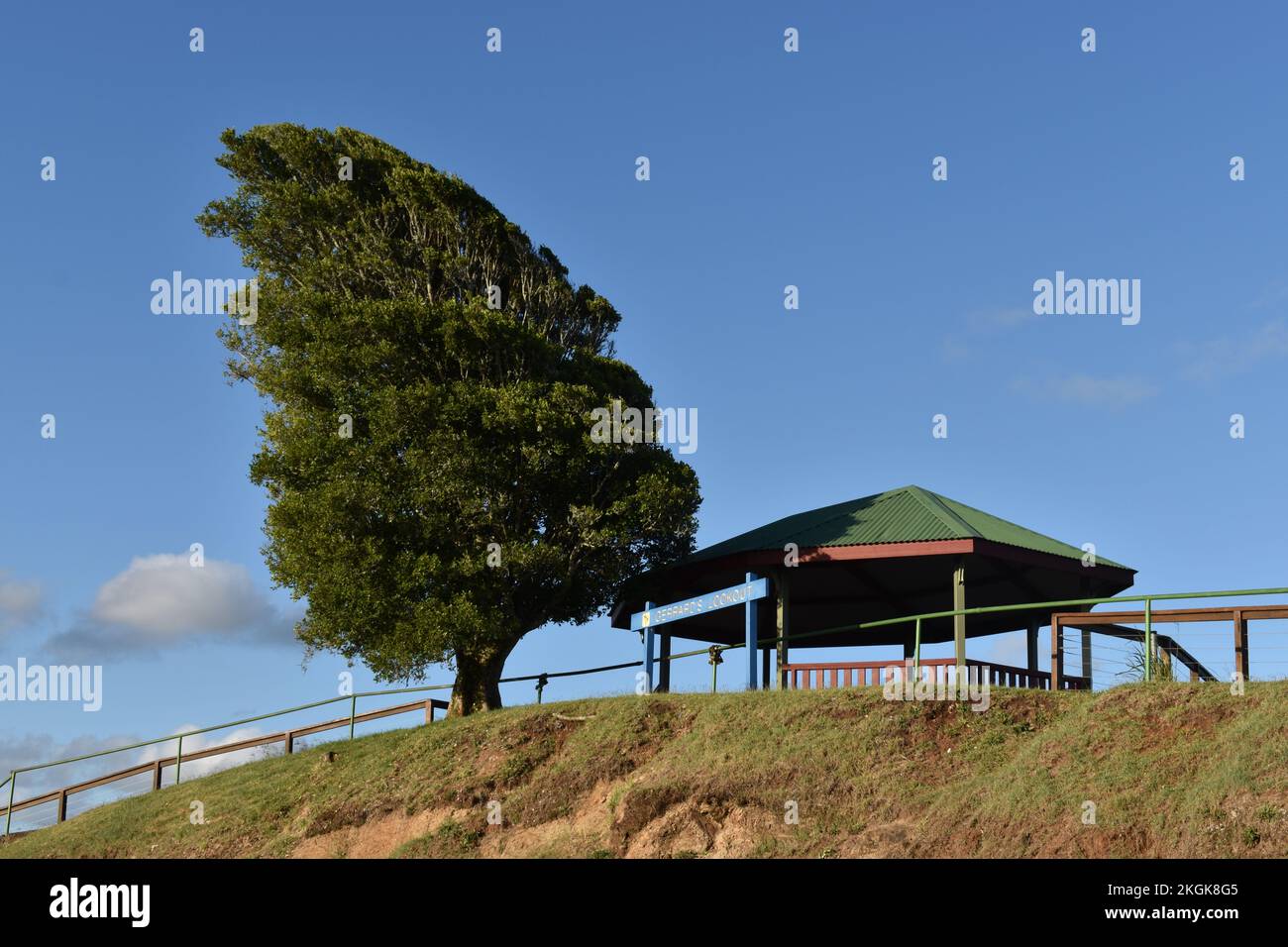 Wind gebogener baum -Fotos und -Bildmaterial in hoher Auflösung – Alamy