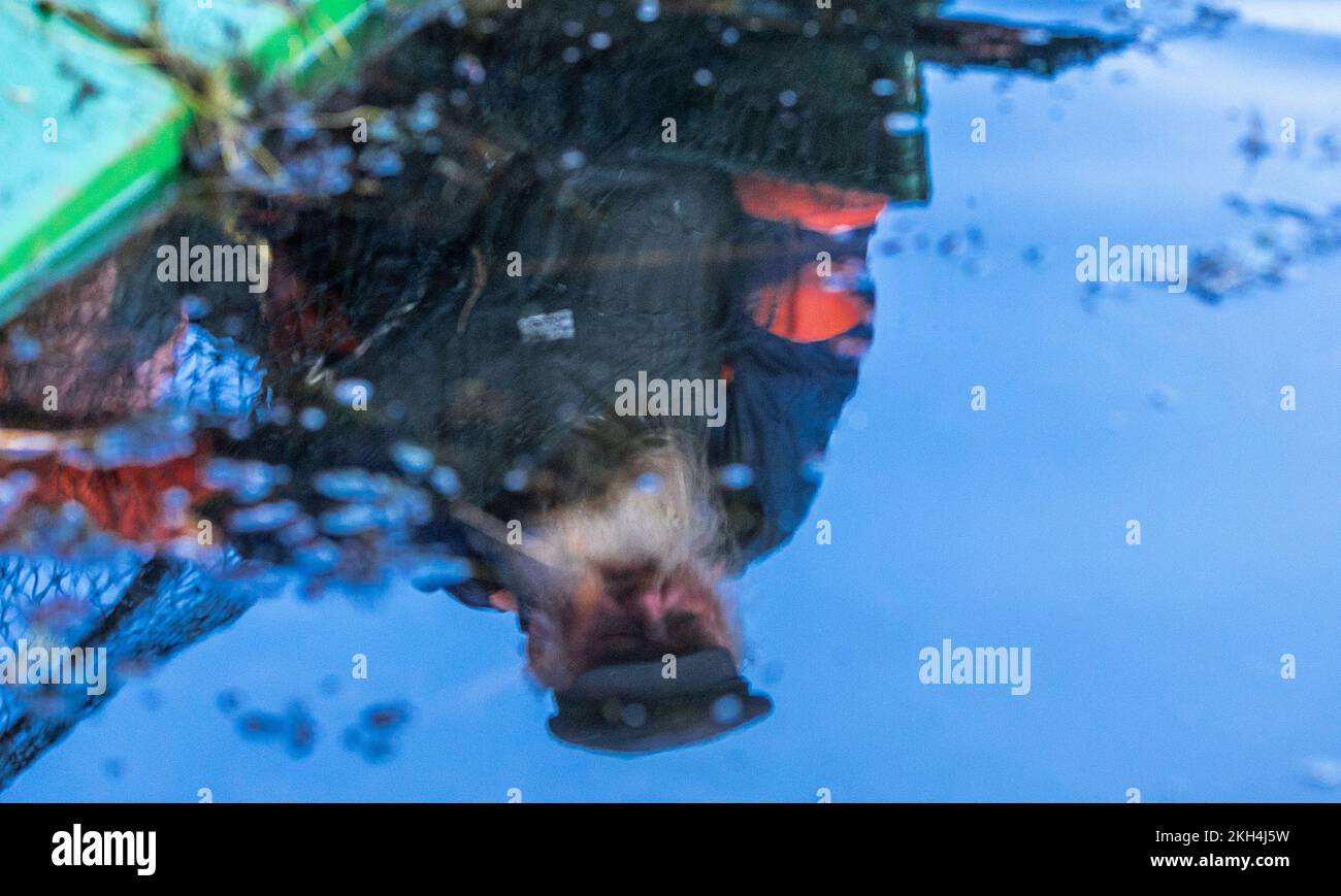 Walter piehl -Fotos und -Bildmaterial in hoher Auflösung – Alamy