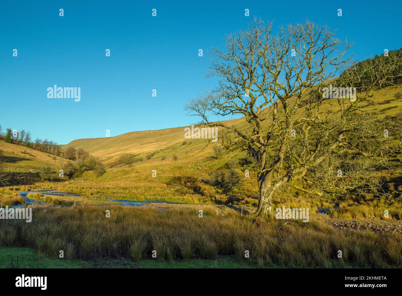 Asche reservoir -Fotos und -Bildmaterial in hoher Auflösung – Alamy