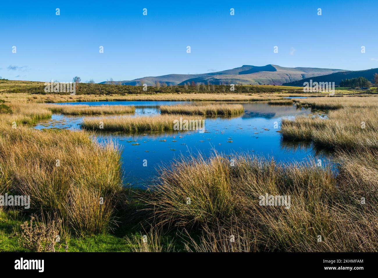 Blick vom Teich auf Mynydd Illtyd in Richtung Pen y Fan Left und Corn ...