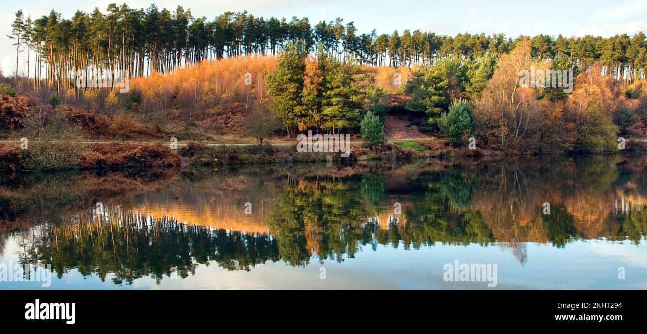 Atemberaubende Herbsttöne und -Farben spiegeln sich in den Fair Oak ...