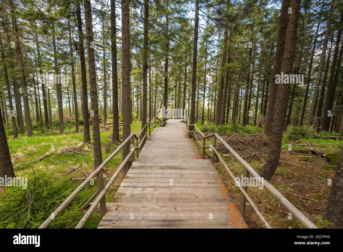 Horni vltavice -Fotos und -Bildmaterial in hoher Auflösung – Alamy