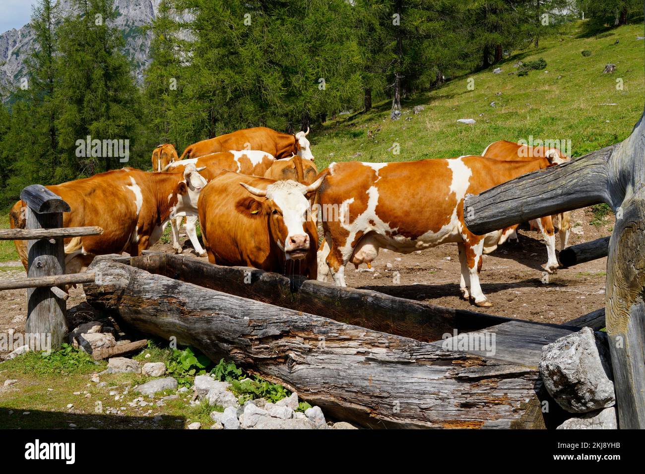 Alpine farm -Fotos und -Bildmaterial in hoher Auflösung – Alamy