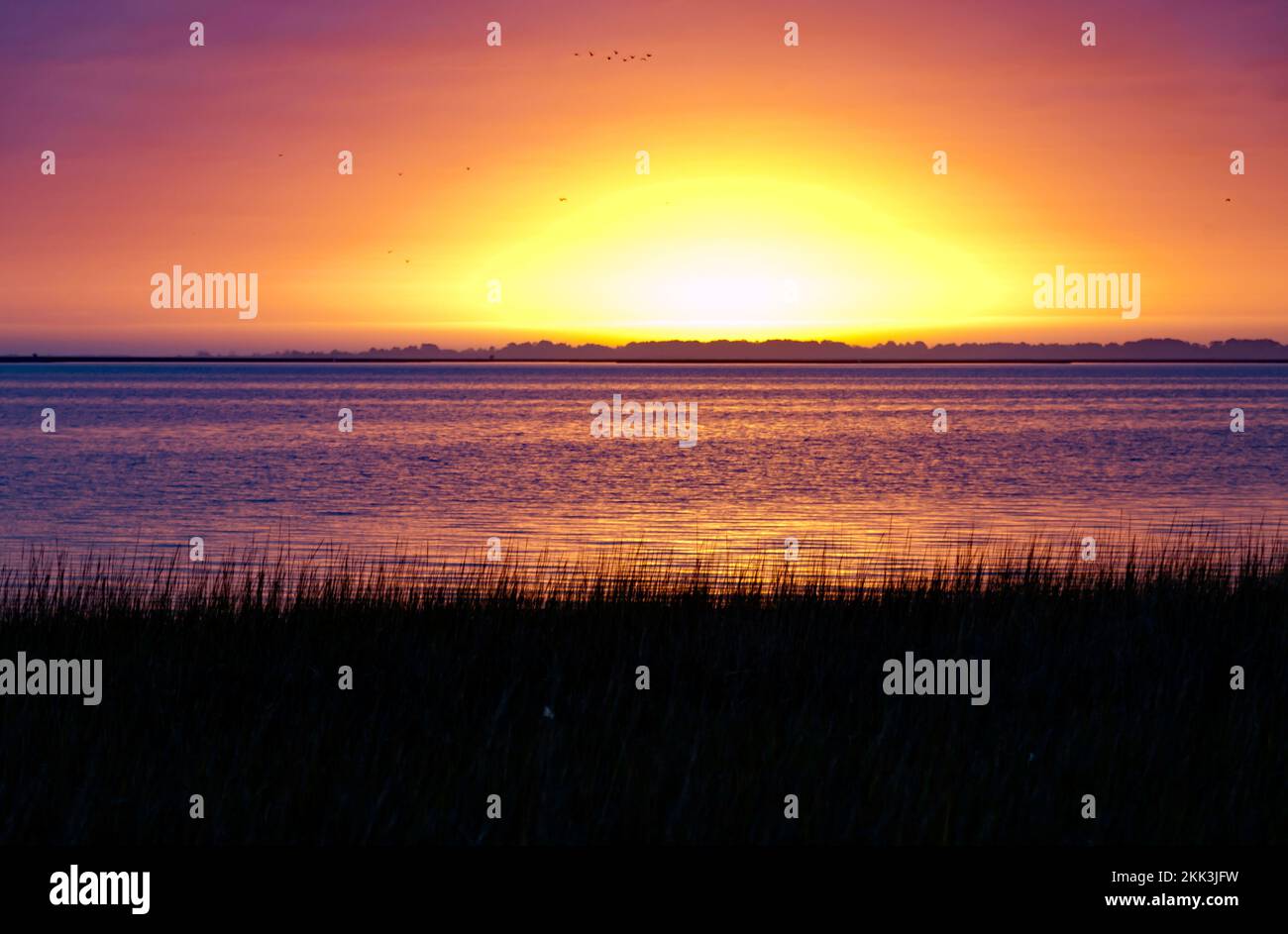 Nocken landen -Fotos und -Bildmaterial in hoher Auflösung – Alamy