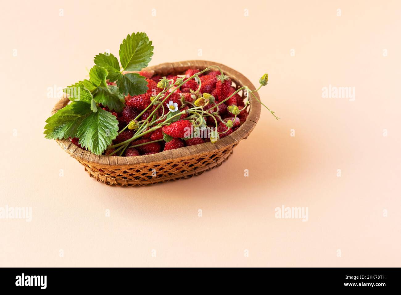 Kann Man Wilde Erdbeeren Essen
