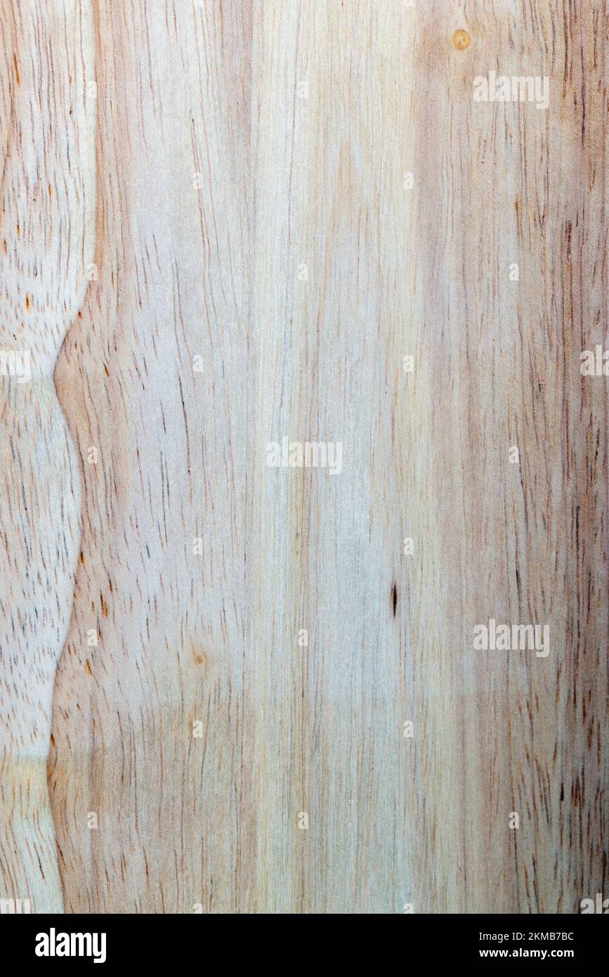 Eine Tafel aus hevea-Holz, eine leichte Tafel mit einer hevea ...