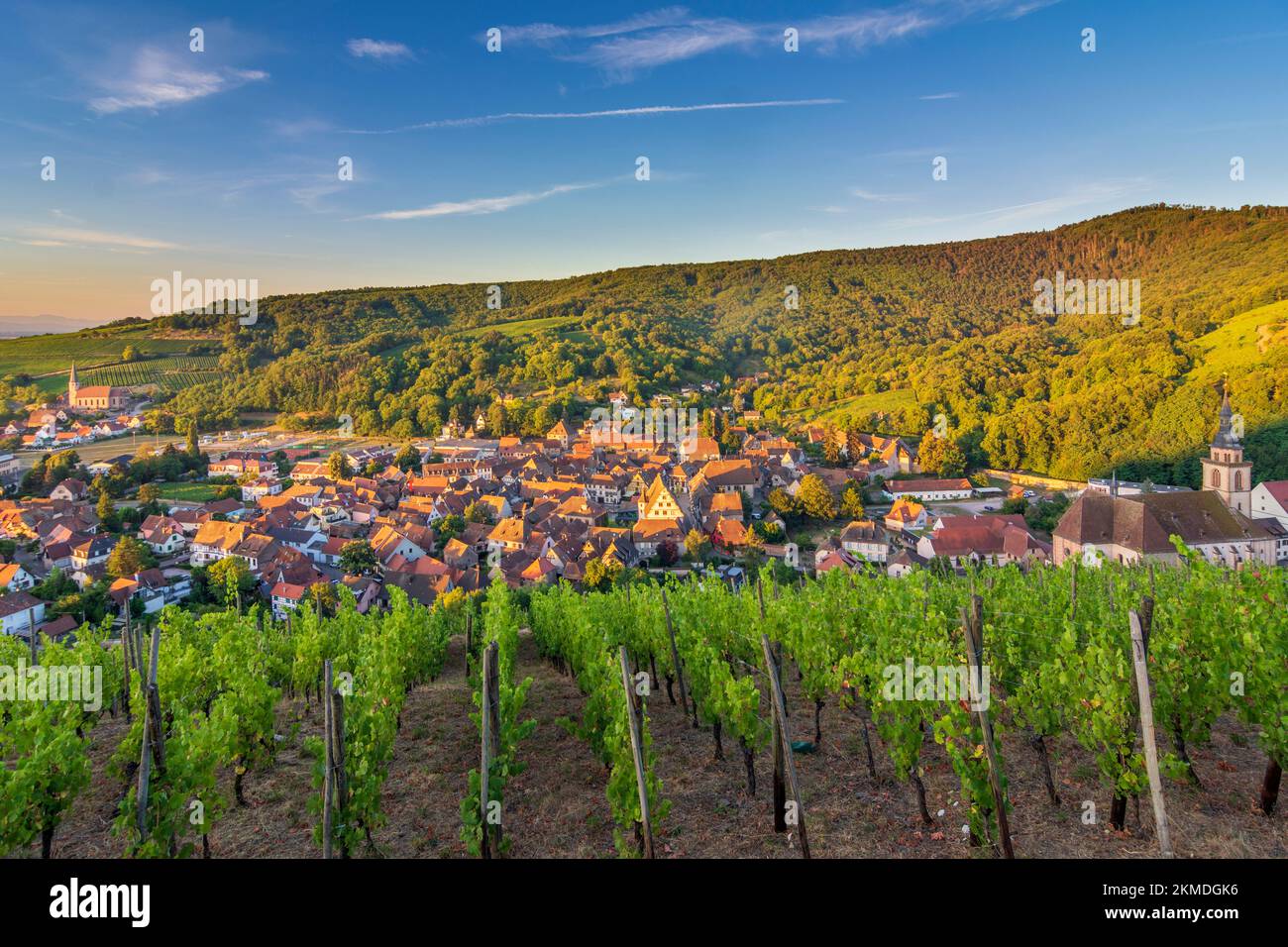 Andlau: Dorf Andlau, Weinberge, Vogesen im Elsass, Bas-Rhin ...