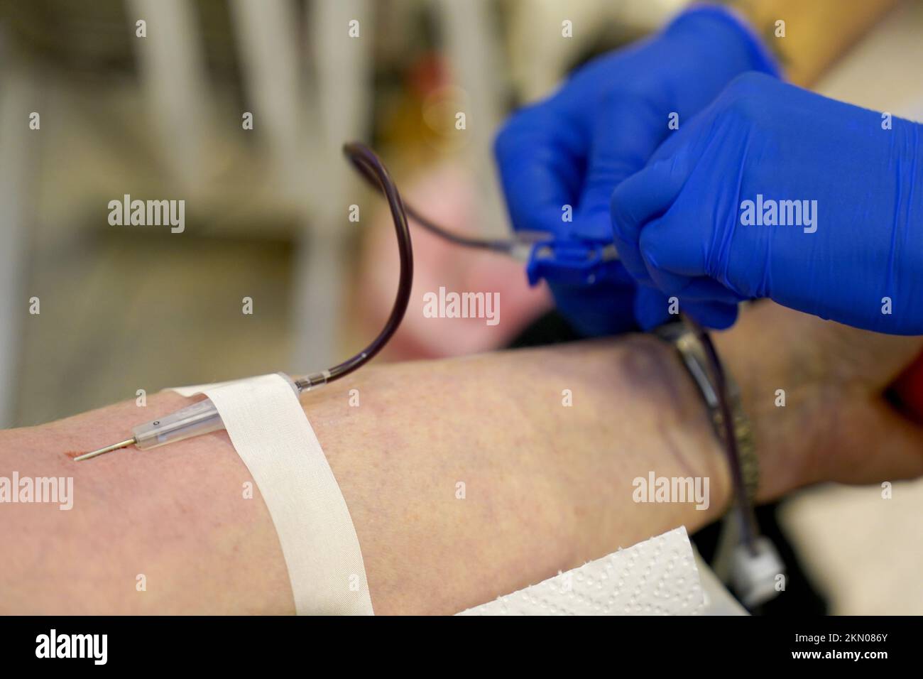 Kaltenkirchen, Deutschland. 25.. November 2022. Eine Frau spendet Blut während einer Blutspende ...