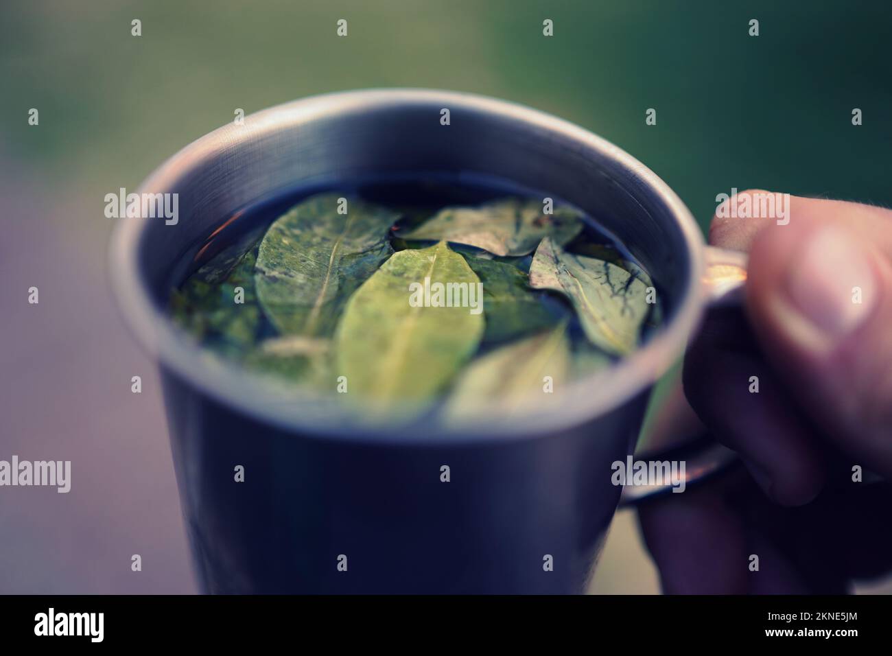 Mate de coca -Fotos und -Bildmaterial in hoher Auflösung – Alamy