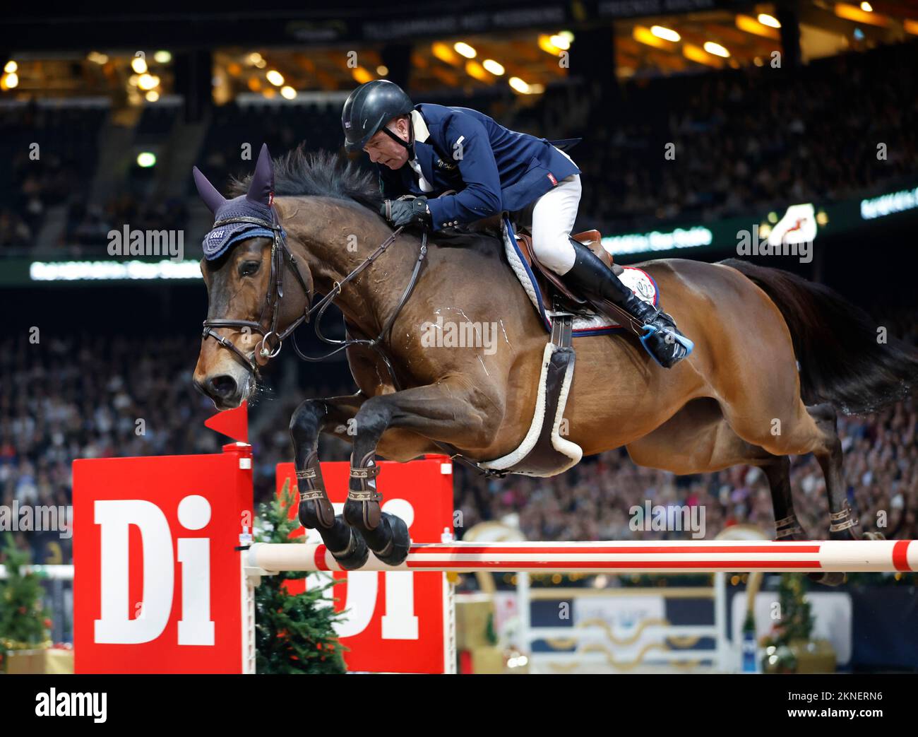 Equine america unick du francport -Fotos und -Bildmaterial in hoher ...