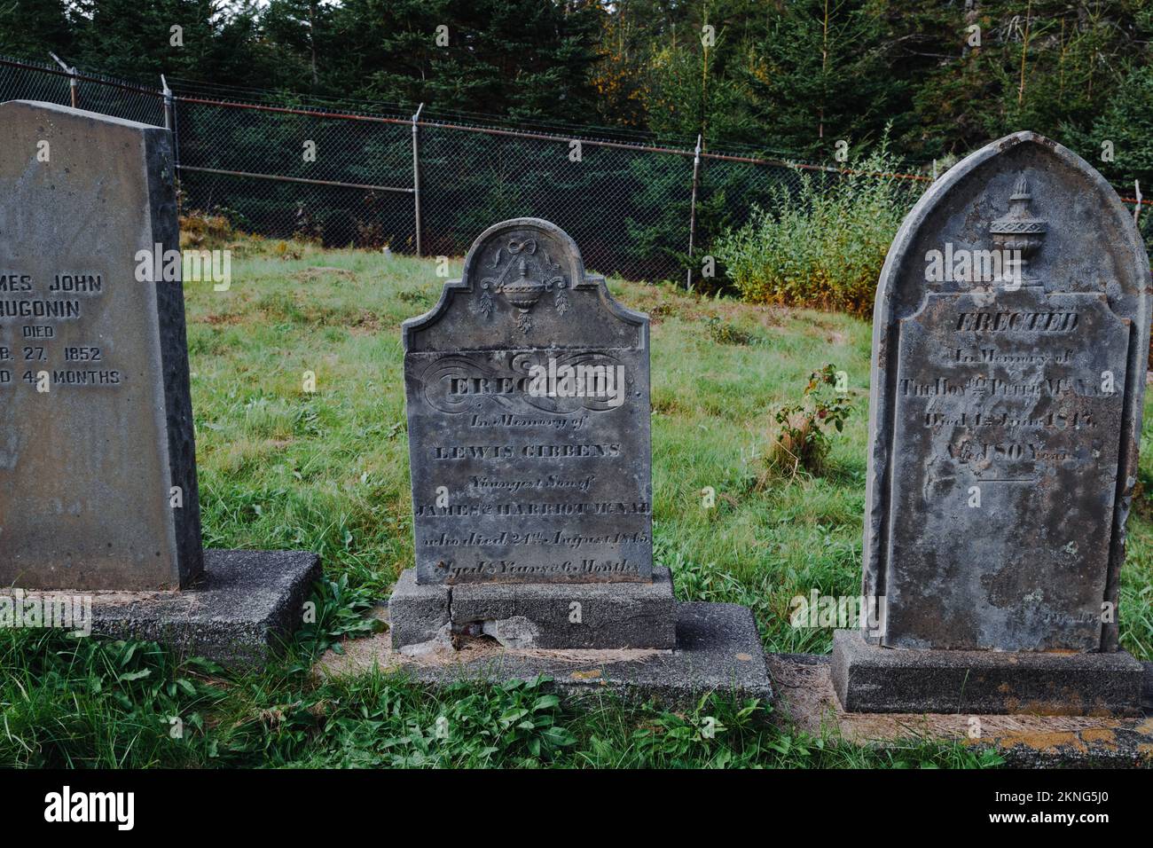 "Der beste verteidigte Friedhof der Welt" McNabs Familienfriedhof auf ...