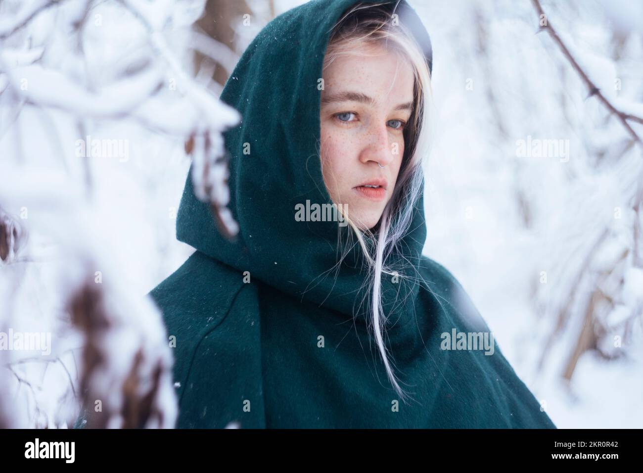 Mantle of snow -Fotos und -Bildmaterial in hoher Auflösung – Alamy