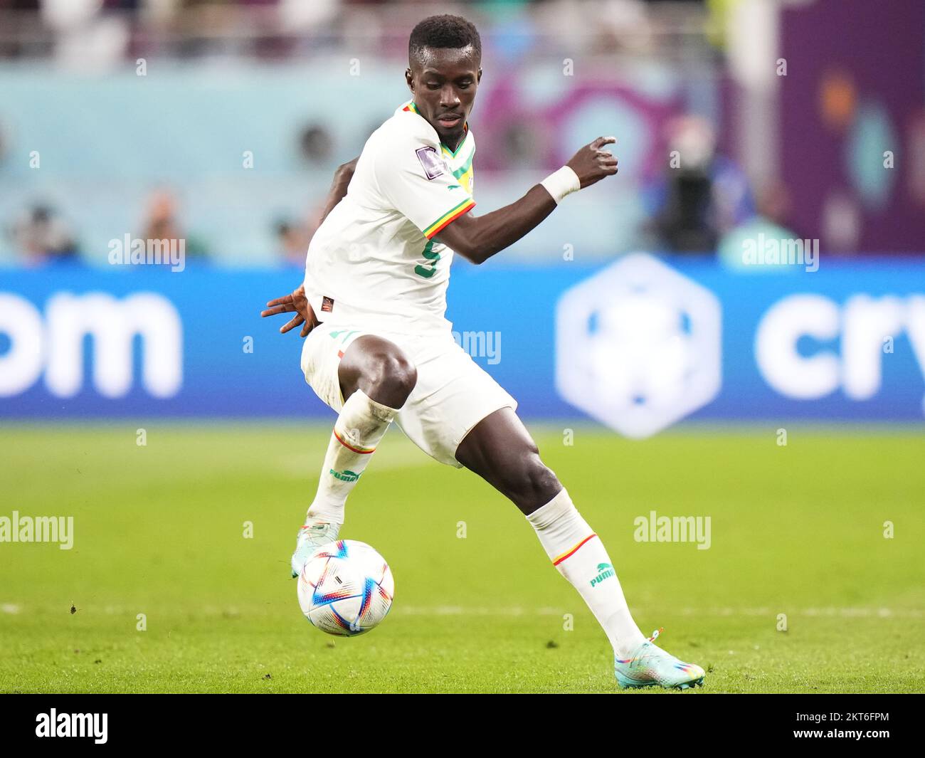 GUEYE Idrissa Gana aus Senegal während des FIFA ...