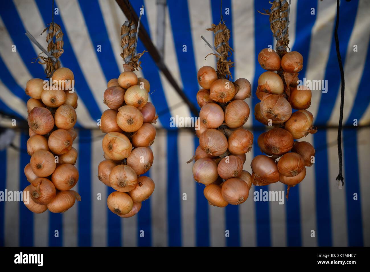 Frische gelbe Zwiebel auf dem Markt mit saisonalem lokalem Gemüse und ...