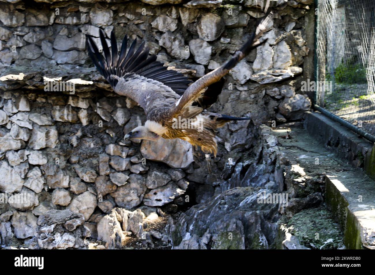 17.03.2014., Split, Kroatien - der Zoo von Split wird nach Beschwerden ...