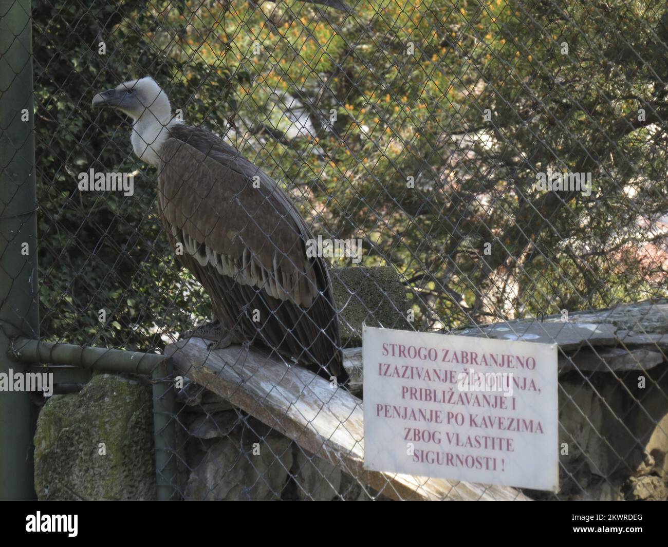 17.03.2014., Split, Kroatien - der Zoo von Split wird nach Beschwerden ...