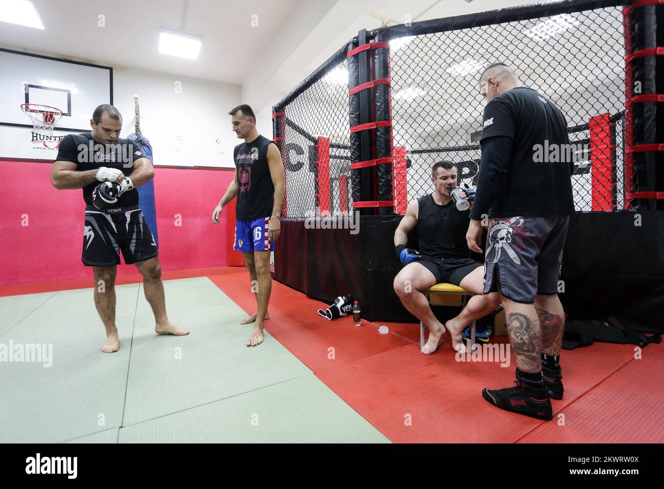 28.11.2014., Zagreb, Kroatien - Tennisspielerin Borna Coric im Training ...