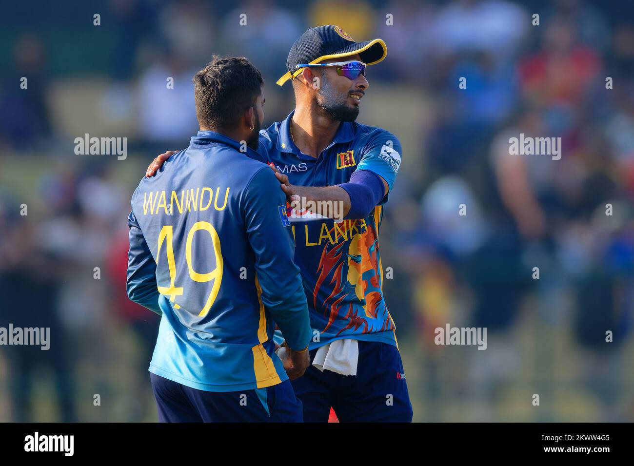 Wanidu hasaranga -Fotos und -Bildmaterial in hoher Auflösung – Alamy
