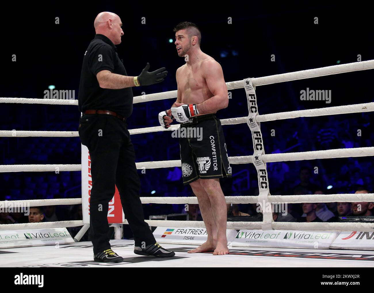 Die Nacht der Champions mit 22 Kämpfern in Matches kämpfte nach den ...