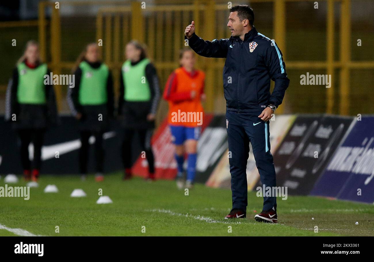 Bozidar miletic fifa frauen weltmeisterschaft -Fotos und -Bildmaterial ...