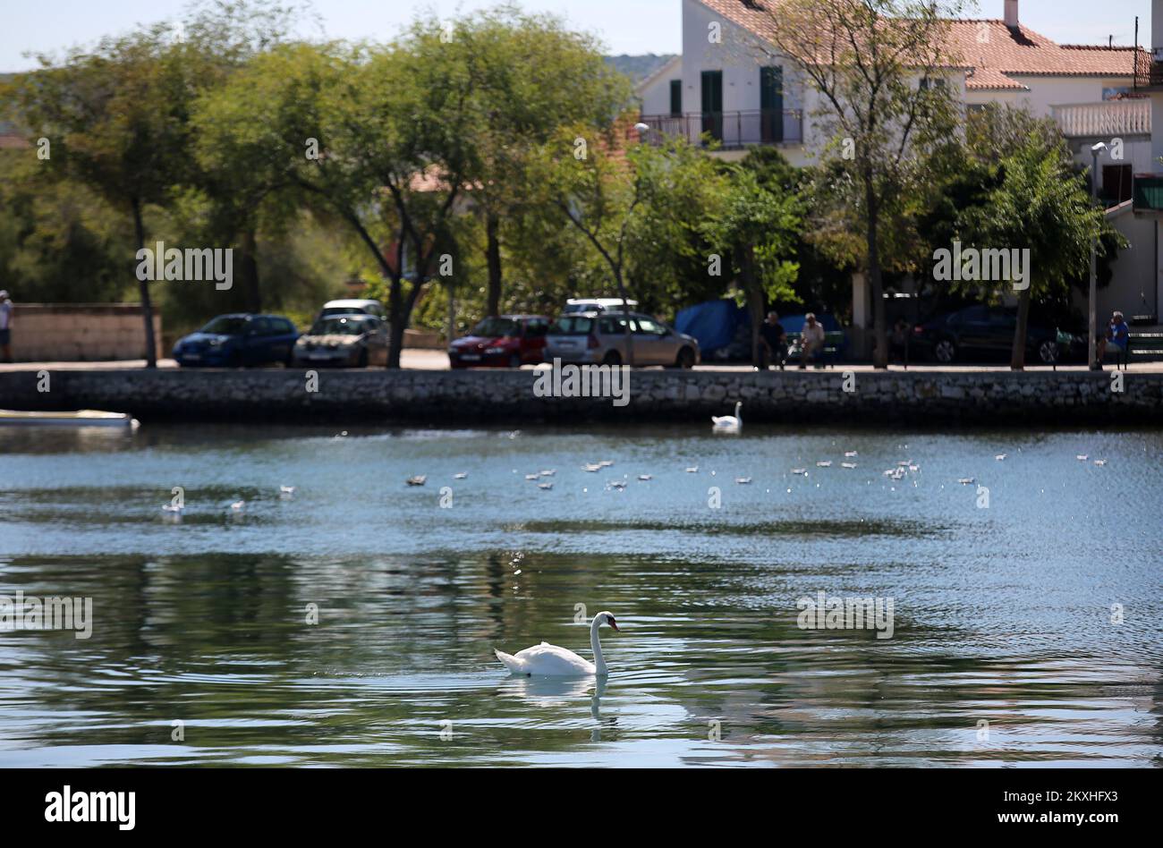 Das Bild zeigt den Alltag in Raslina, in Raslina, Kroatien, september 4 ...