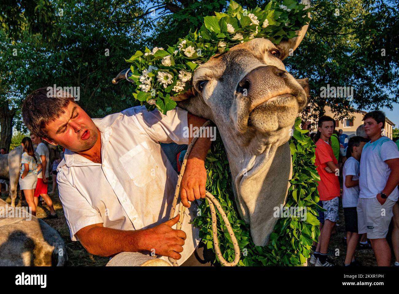 31.07.2021., Kanfanar - U parku istarskog vola U Kanfanaru odrzala se ...