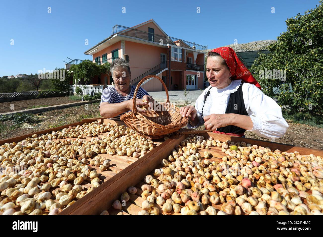 Familienangehörige, die am 9l. September 2021 Feigen auf Grabastica ...