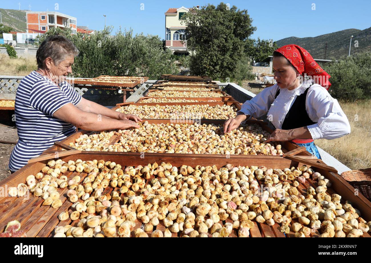 Getrocknete Feigen sind auf dem Bild auf Grabastica am 9l. September ...
